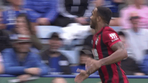 Football Soccer GIF by AFC Bournemouth - Find & Share on GIPHY