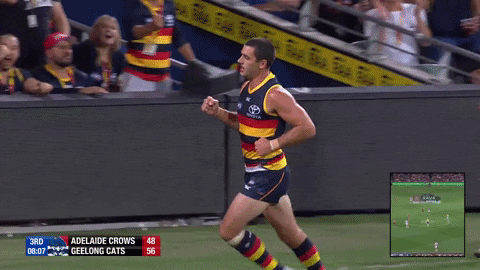 Round 3 Afl GIF by Adelaide Crows - Find & Share on GIPHY