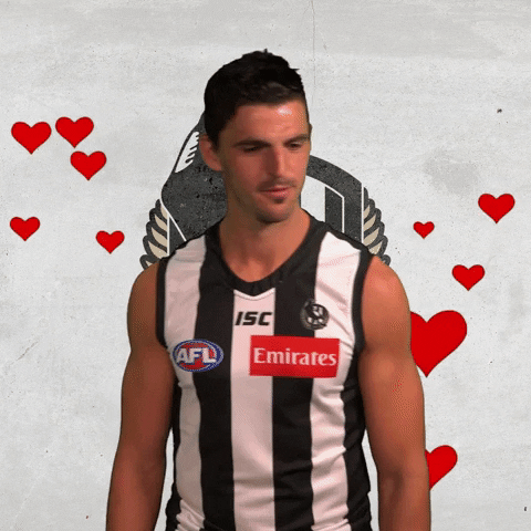 CollingwoodFC GIF - Find & Share on GIPHY