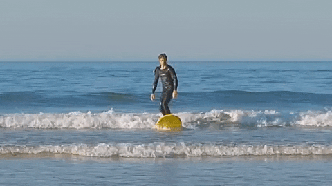 The Surf Continuum GIF - Find & Share on GIPHY