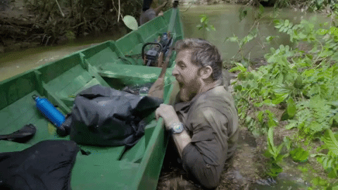 Steve Backshall Expedition GIF by PBS - Find & Share on GIPHY