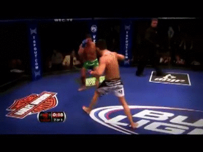 Defense GIF - Find & Share on GIPHY