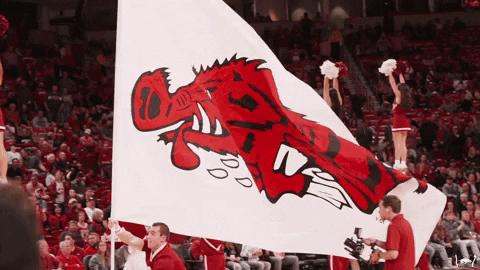 College Basketball Sport GIF by Arkansas Razorbacks - Find & Share on GIPHY