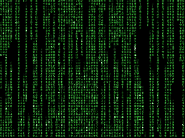 Rabbit GIF - Find & Share on GIPHY