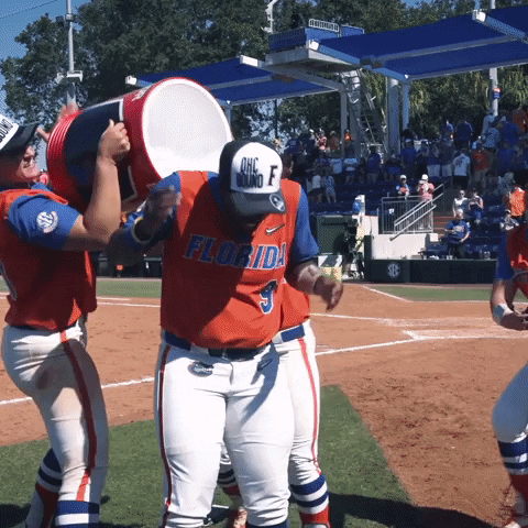 Ncaa Sports Sport GIF by Florida Gators - Find & Share on GIPHY