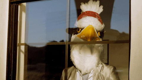 Fox GIF by The Masked Singer - Find & Share on GIPHY