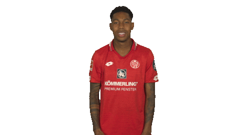 Happy 1 Fsv Mainz 05 Sticker by Bundesliga for iOS & Android | GIPHY