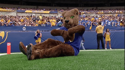 Pitt Panthers GIF - Find & Share on GIPHY
