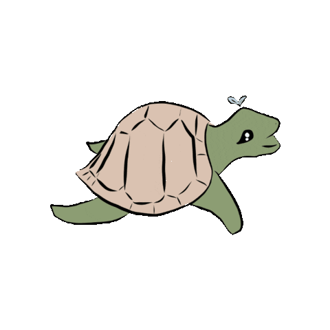 Turtle Tortoise Sticker for iOS & Android | GIPHY
