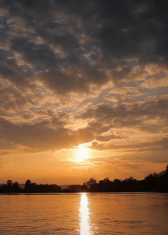 France Sunset GIF by Head Like an Orange - Find & Share on GIPHY