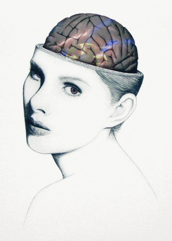 Brain GIF - Find & Share on GIPHY