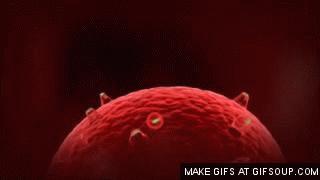 Response GIF - Find & Share on GIPHY