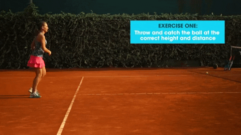 Techniques Tennis Backhand GIF by fitintennis - Find & Share on GIPHY