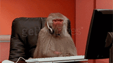 Office Monkey GIFs - Find & Share on GIPHY