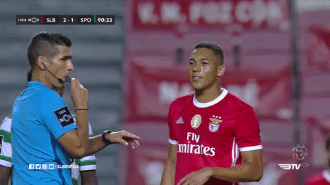 Sl Benfica Goal GIF by Sport Lisboa e Benfica - Find & Share on GIPHY