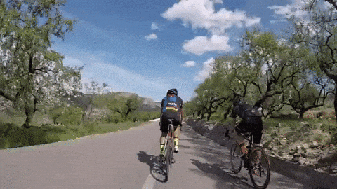 GIF by Velosol Cycling - Find & Share on GIPHY