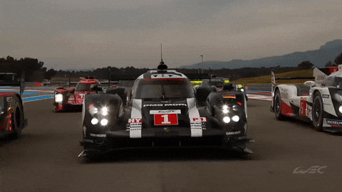 - Find & Share on GIPHY