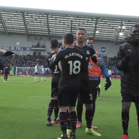 Premier League Football GIF by CPFC - Find & Share on GIPHY