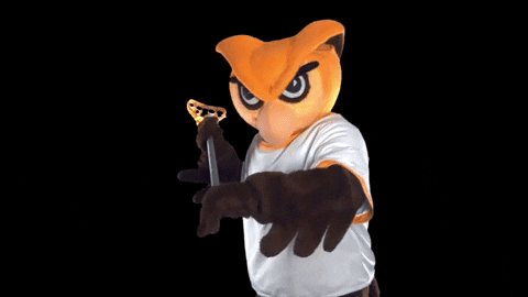 Ncaa Mascot GIF by Rowan University - Find & Share on GIPHY
