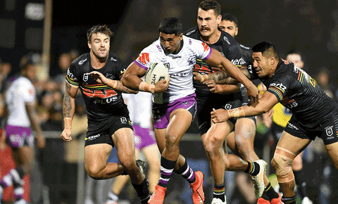Melbourne Storm GIF - Find & Share on GIPHY