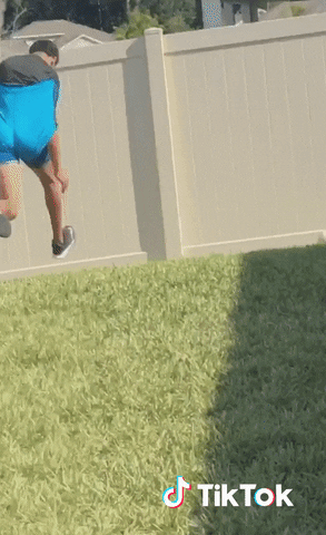 Flop Fml GIF by TikTok France - Find & Share on GIPHY