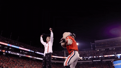 College Football Uga GIF by University of Georgia - Find & Share on GIPHY