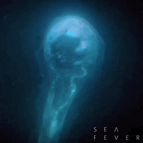 Creature Feature Movie GIF by Signature Entertainment - Find & Share on ...