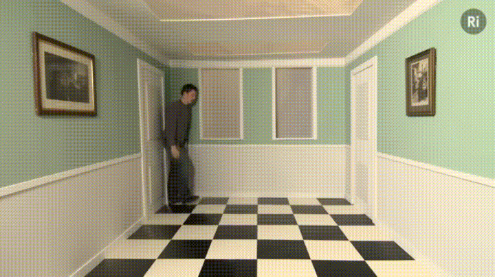 Room Illusion GIF - Find & Share on GIPHY