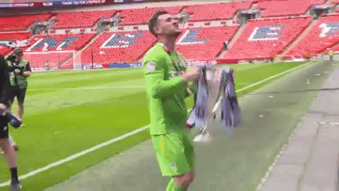 Aston Villa FC GIF - Find & Share on GIPHY
