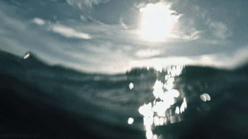 Nostalgic GIF - Find & Share on GIPHY