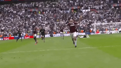 Aston Villa FC GIF - Find & Share on GIPHY