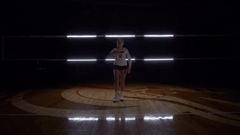 MSUM Dragons GIF - Find & Share on GIPHY