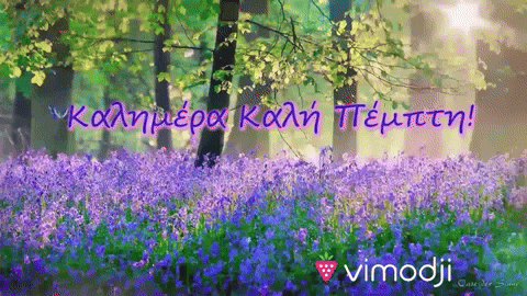 Pempti GIF by Vimodji - Find & Share on GIPHY