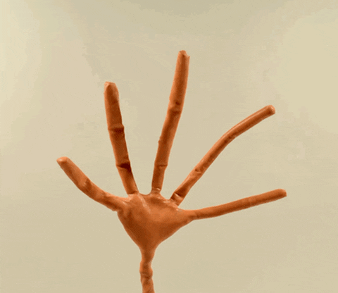 shawy animation GIF - Find & Share on GIPHY