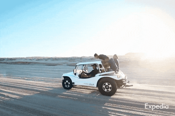 Road Trip Travel GIF by Expedia - Find & Share on GIPHY