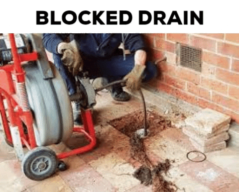 Blocked Drain Gif By Gif - Find & Share on GIPHY
