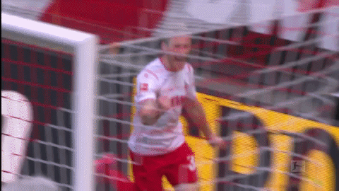 1 Fc Cologne Football GIF by 1. FC Köln - Find & Share on GIPHY