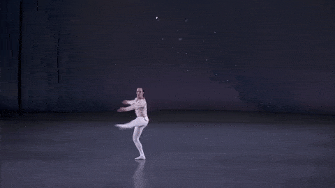 Dancer Diamonds GIF by New York City Ballet - Find & Share on GIPHY