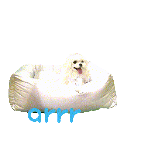 아르르 Sticker by arrr_official for iOS & Android | GIPHY