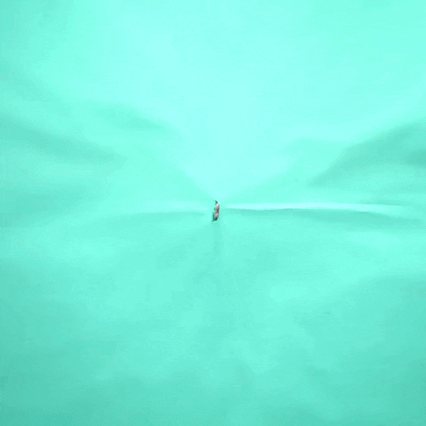 368 GIFs - Find & Share on GIPHY