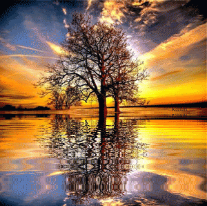 Landscape GIF - Find & Share on GIPHY