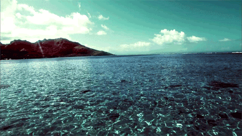 Water GIF - Find & Share on GIPHY