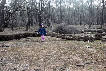 Drought GIF - Find & Share on GIPHY