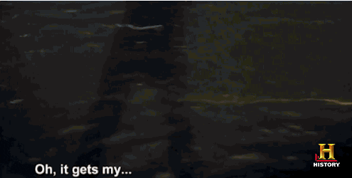 GIF by Swamp People - Find & Share on GIPHY