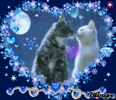 Blingee GIF - Find & Share on GIPHY