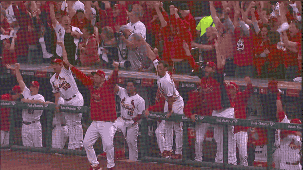 St Louis Cardinals GIF - Find & Share on GIPHY