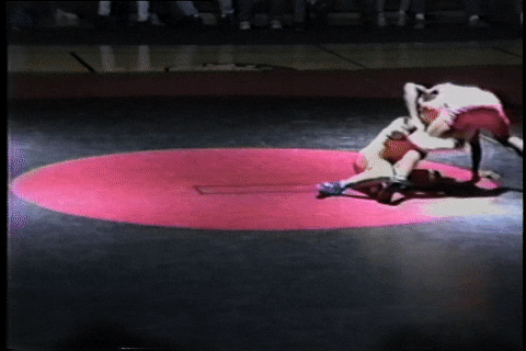 Comedy Wrestling GIF by RETROFUNK - Find & Share on GIPHY