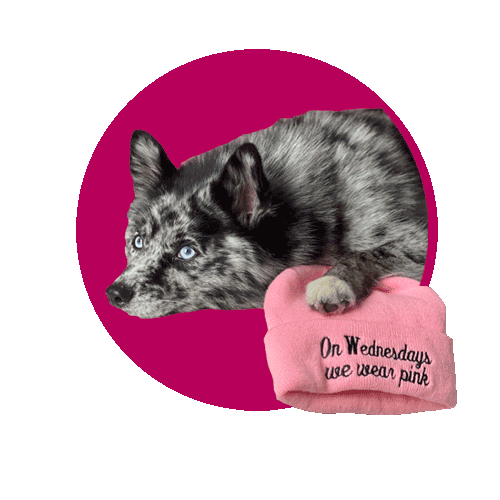 Dog Pink Sticker for iOS & Android | GIPHY