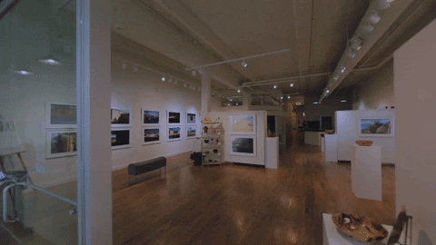 Art Gallery GIF by Switzerfilm - Find & Share on GIPHY
