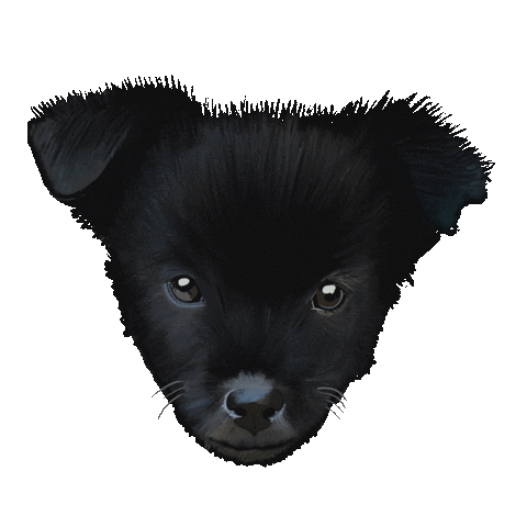Black Dog Sticker for iOS & Android | GIPHY